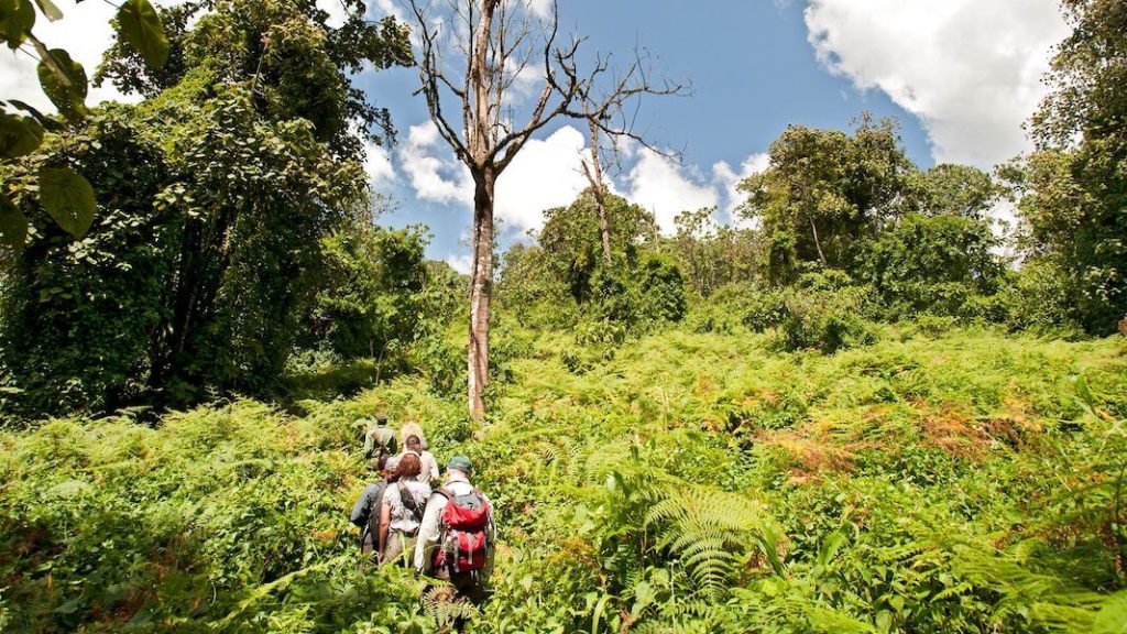 Mahale Mountain National Park - Africanzoom Adventure Tours